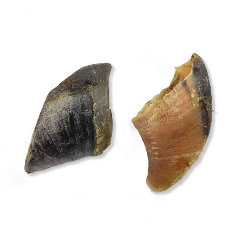 Beef Hooves for Dogs | 100% Natural Chewy Treats – Postman Pooch