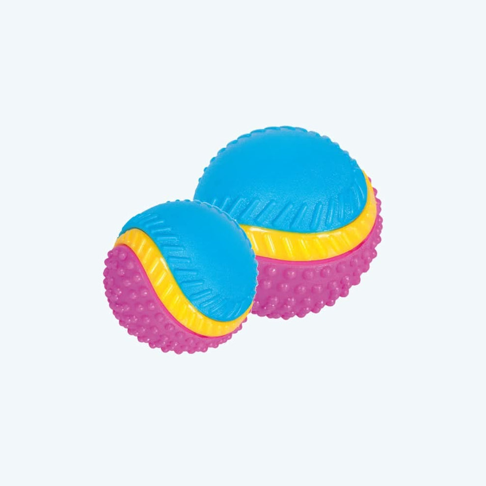 Beef Scented Five Senses Rubber Ball | Durable Toy