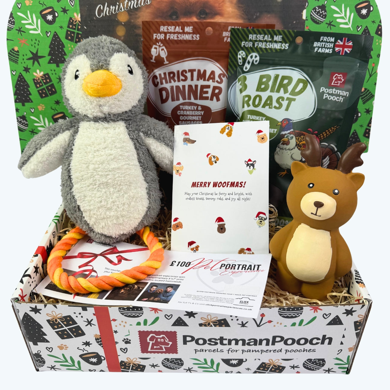 Winter Wonderland Dog Christmas Box | Toys & Treats for Dogs