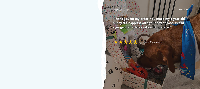 Dog Gifts & Presents | Best Dog Products UK | Postman Pooch