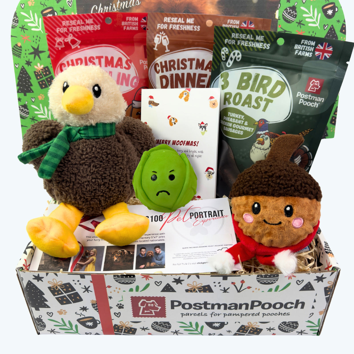 Christmas Gifts for Dogs | Festive Dog Presents 2025