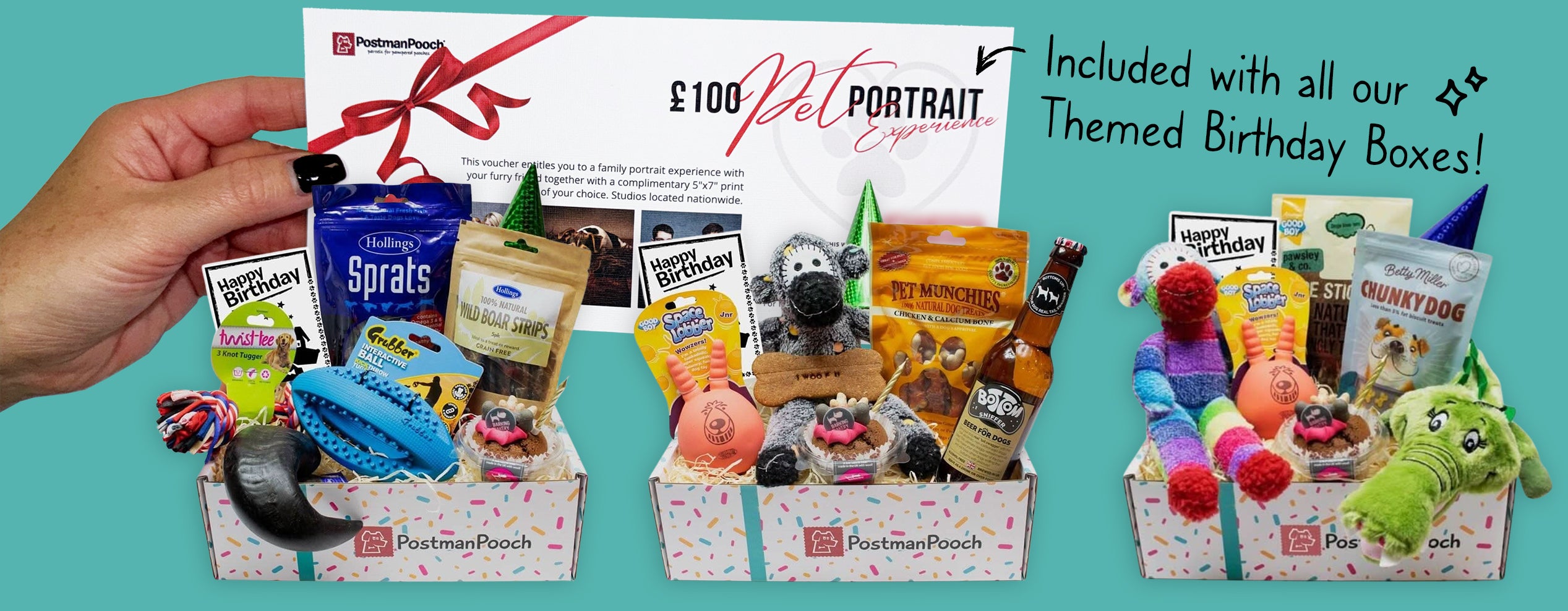 Dog Birthday Boxes | The Ultimate Dog Birthday Gift